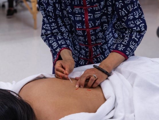 10 month post graduate course – 5-Element Acupuncture and Moxibustion ...